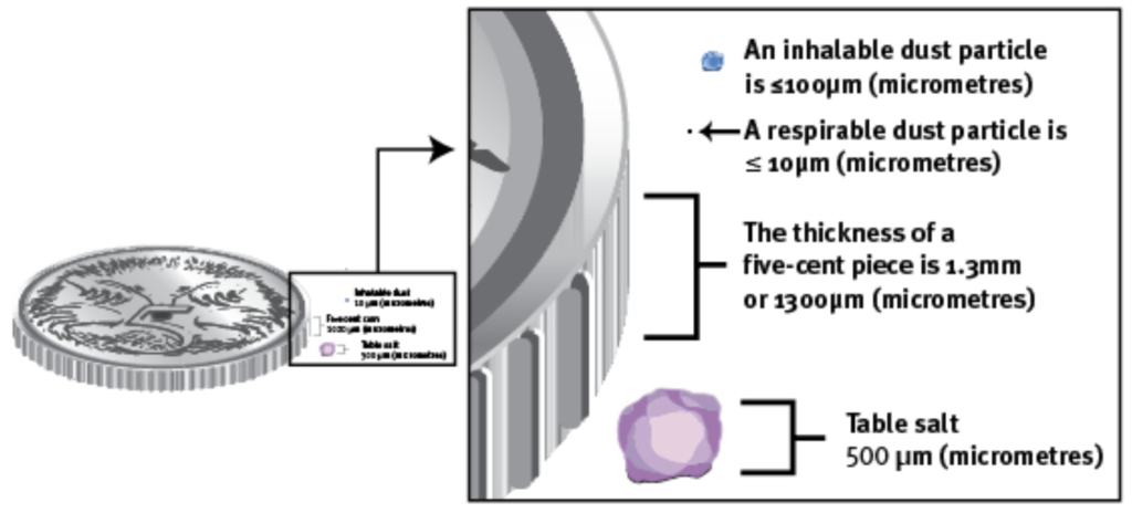 Reducing Dust Exposure: The importance of understanding particle size